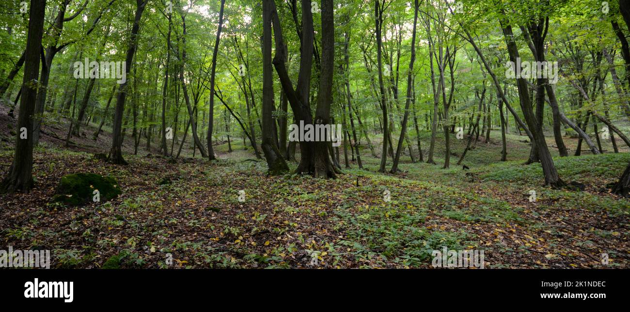 Infinitely repeating hi-res stock photography and images - Alamy