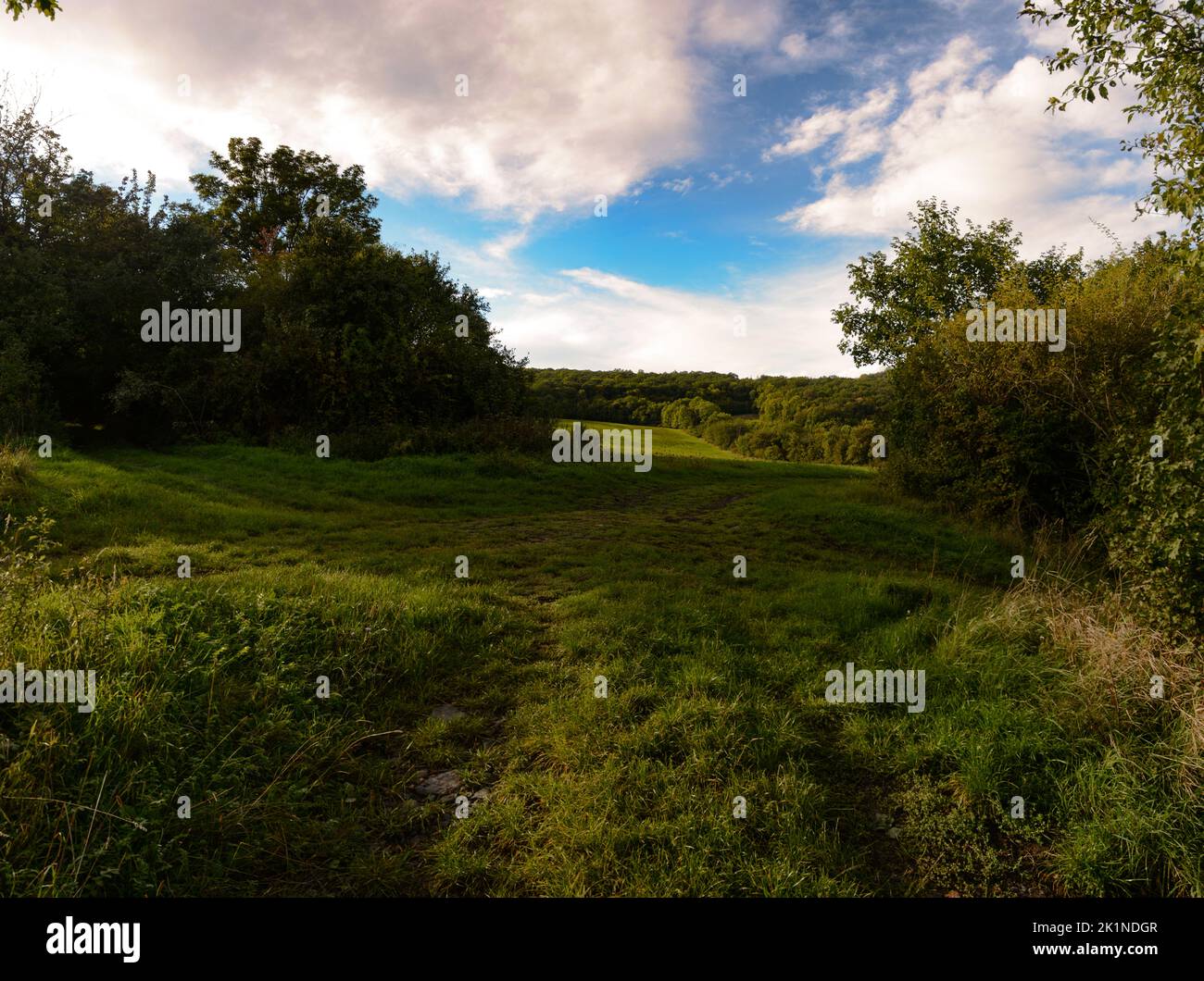is this the right path Stock Photo - Alamy