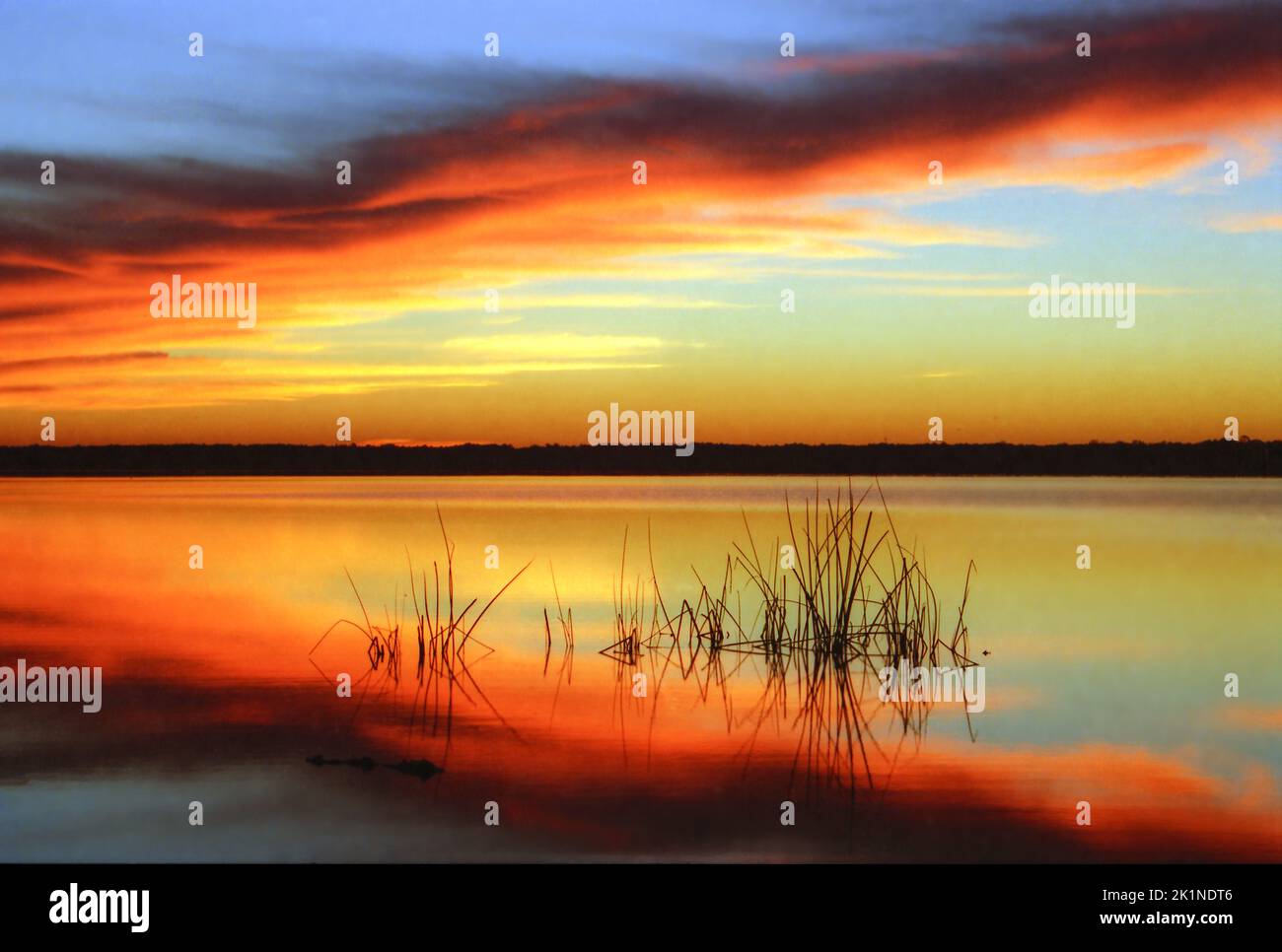 Newnans lake hi-res stock photography and images - Alamy