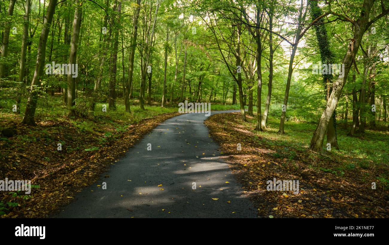 View of a narrow road cycling path in the Central Bohemian Uplands ...