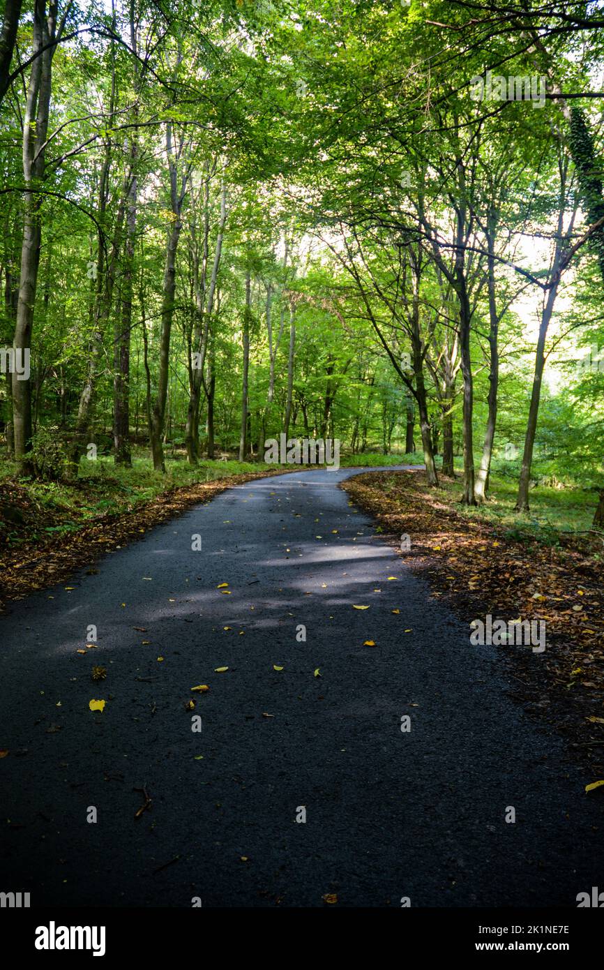 View of a narrow road cycling path in the Central Bohemian Uplands ...