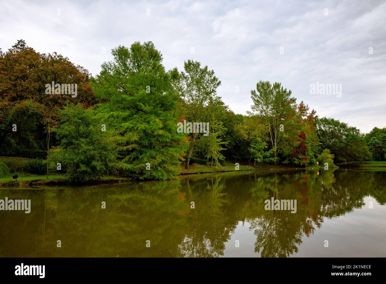 Fall view. Pond in the forest at autumn. Ataturk Arboretum in Istanbul ...