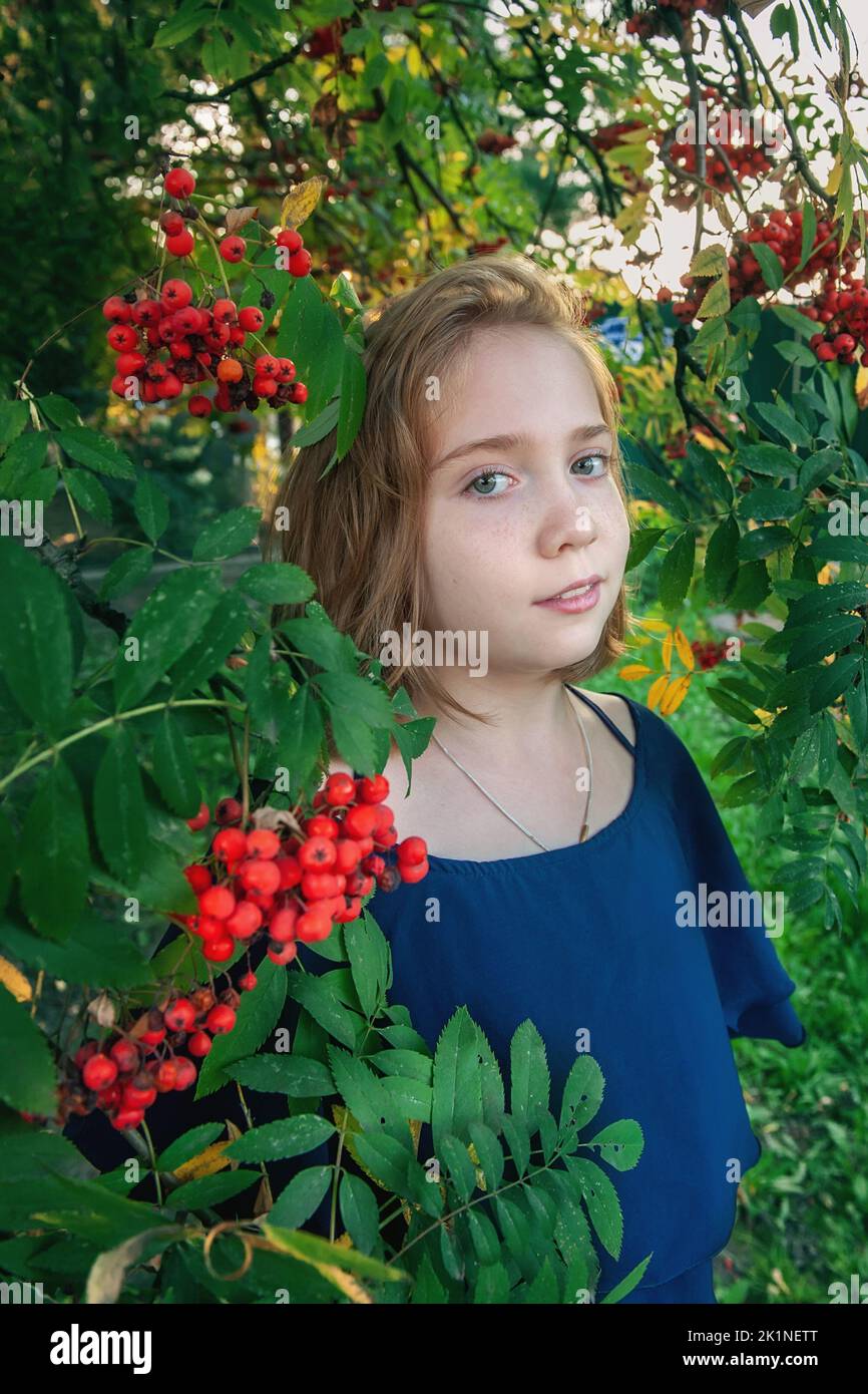 a girl with a rowan tree. Portrait of a 13-year-old teenage girl with ...