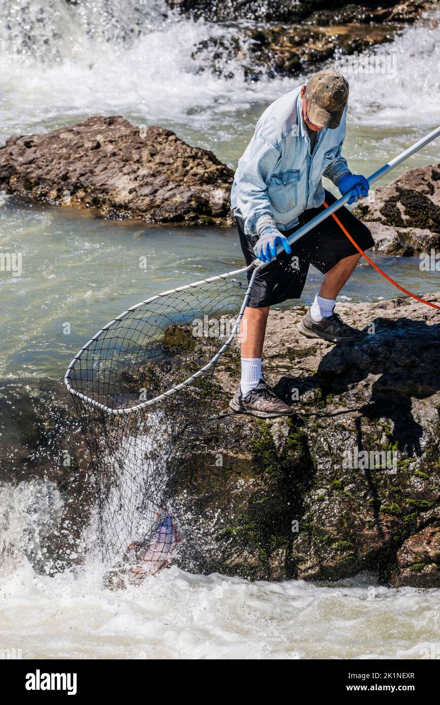 Indian indigenous community hi-res stock photography and images - Alamy