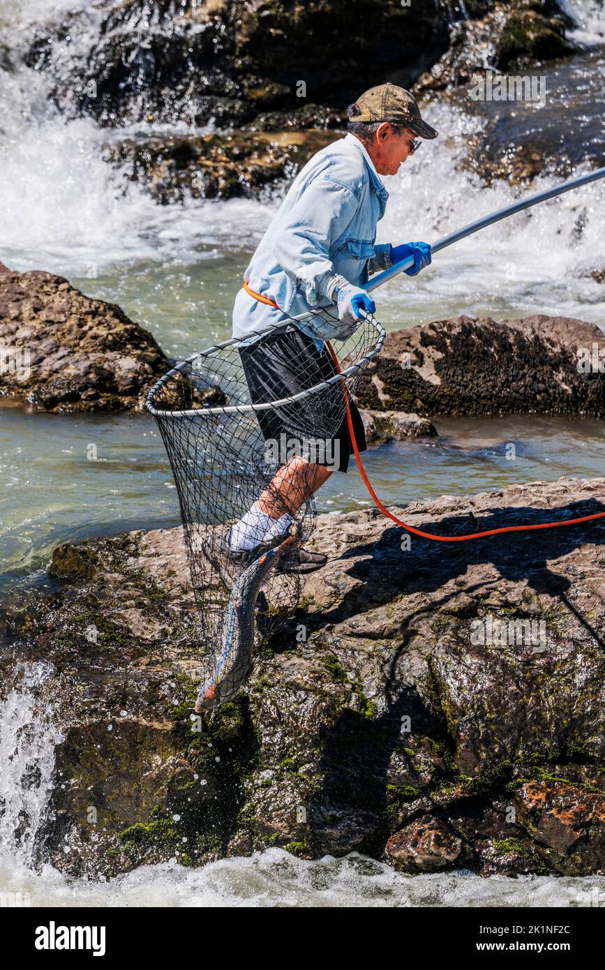 Indian indigenous community hi-res stock photography and images - Alamy