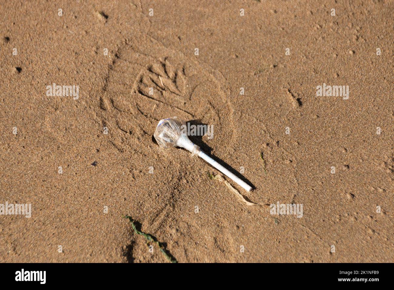 A close up view of plastic lolli pop left on the sand at the harbour ...