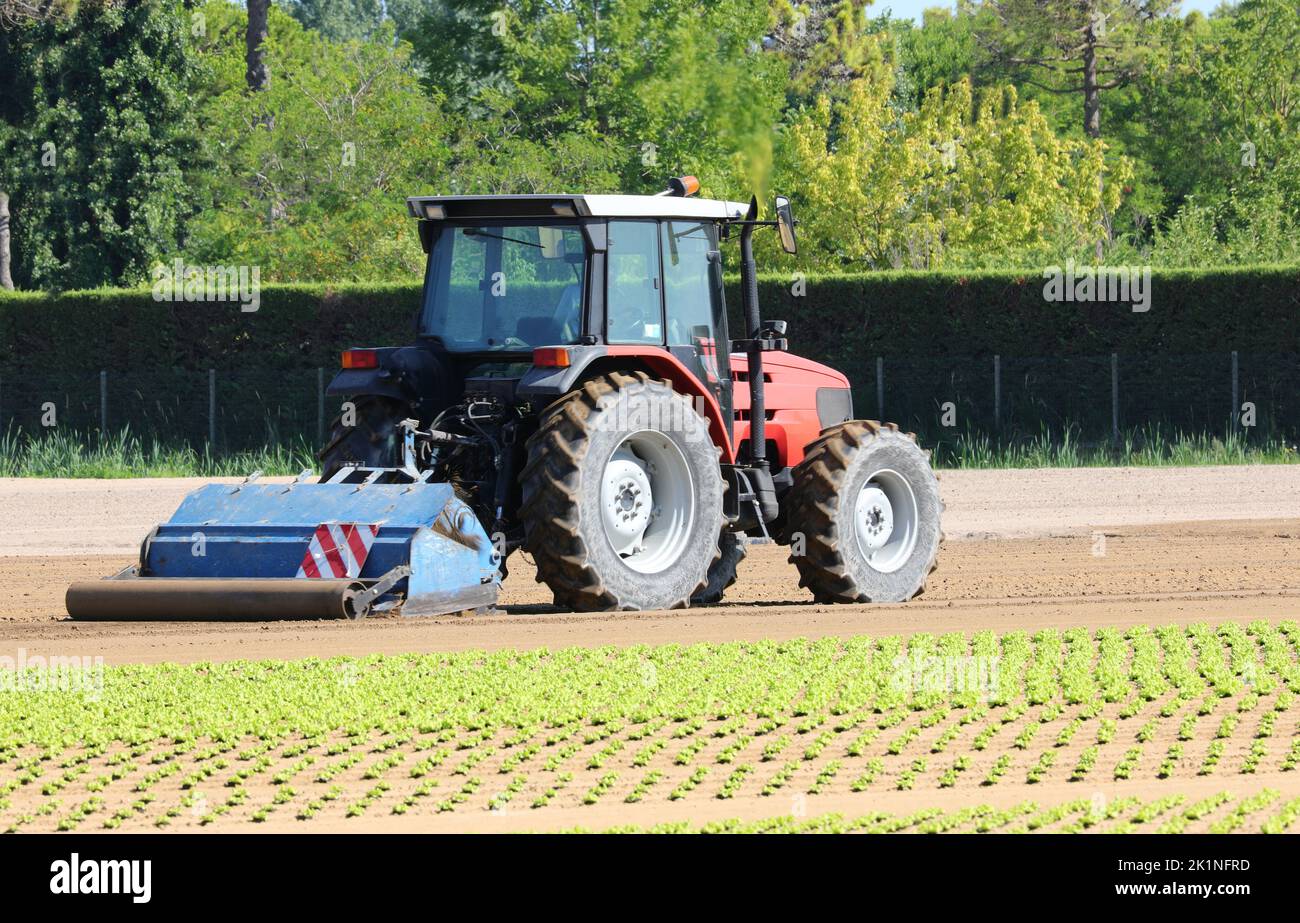 tractor with large wheels on the cultivated field for sowing and ...