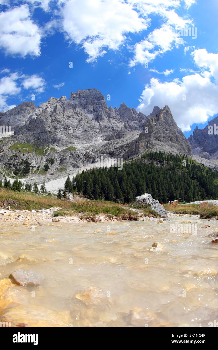 clear spring water stream of the Dolomites in the European Alps in ...