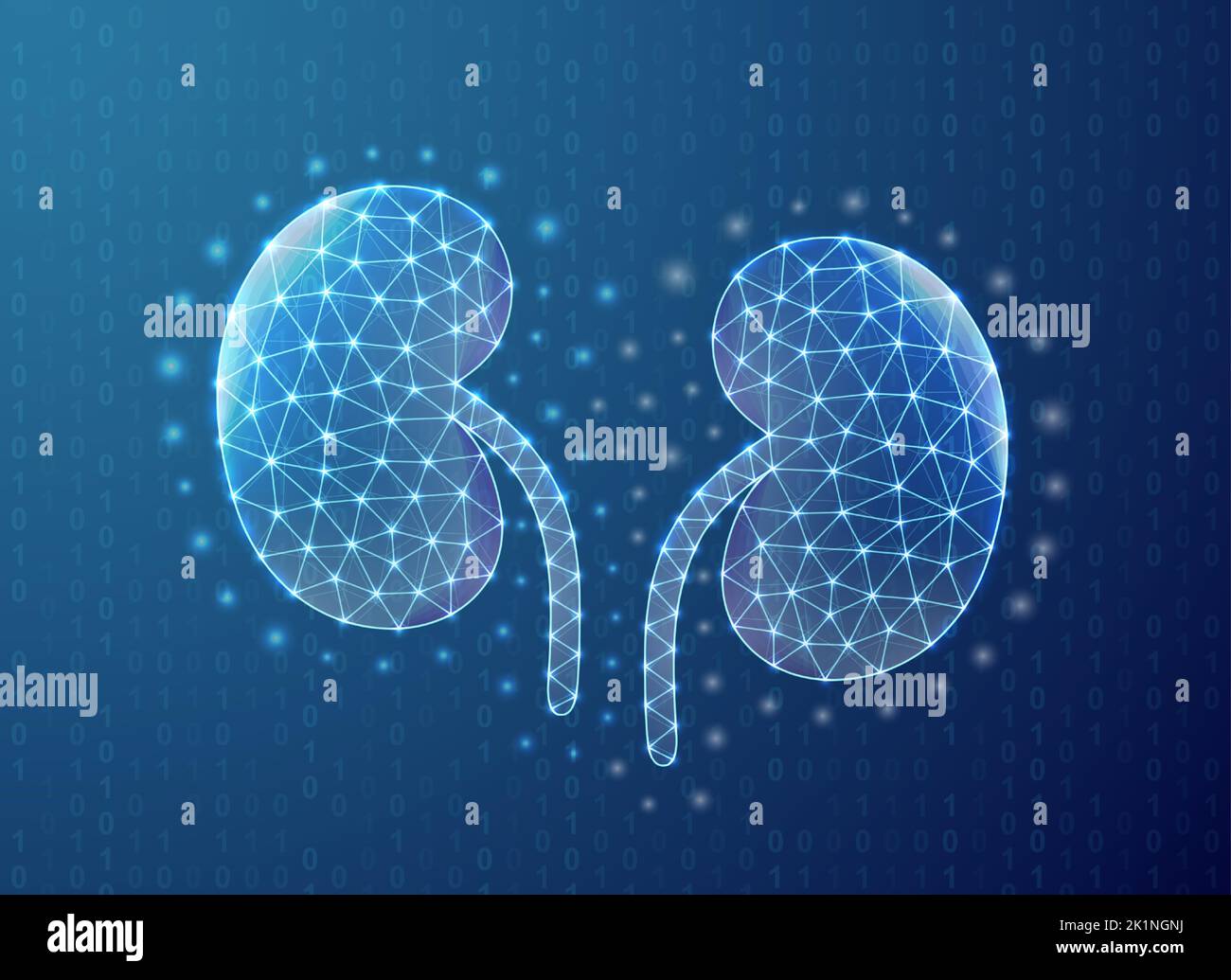 Kidneys polygonal symbol with binary code background. Urinary concept design illustration. Blue ...