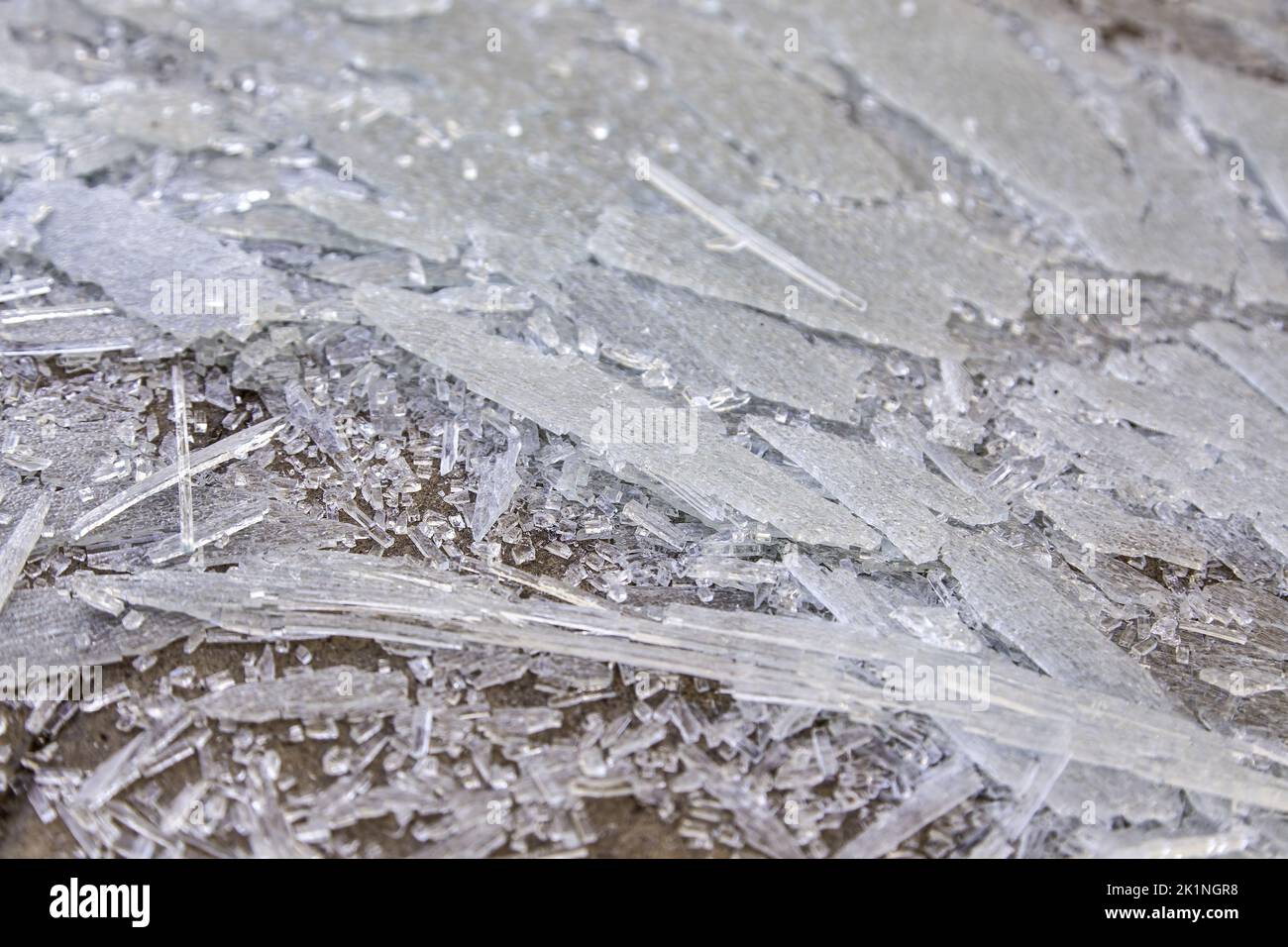 Detail of broken glass in the garbage, danger due to cuts Stock Photo ...