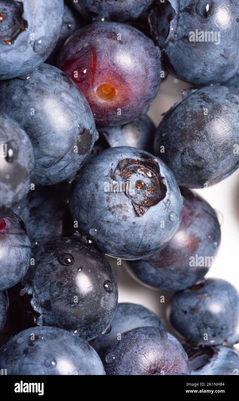 Blueberry fruit in close-up. Ripe fruit, blueberry berries isolated ...