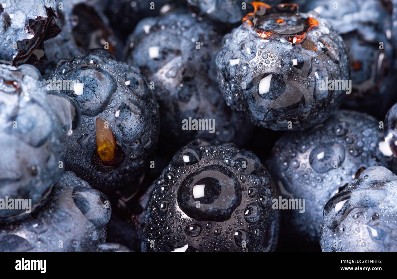 Blueberry fruit in close-up. Ripe fruit, blueberry berries isolated ...