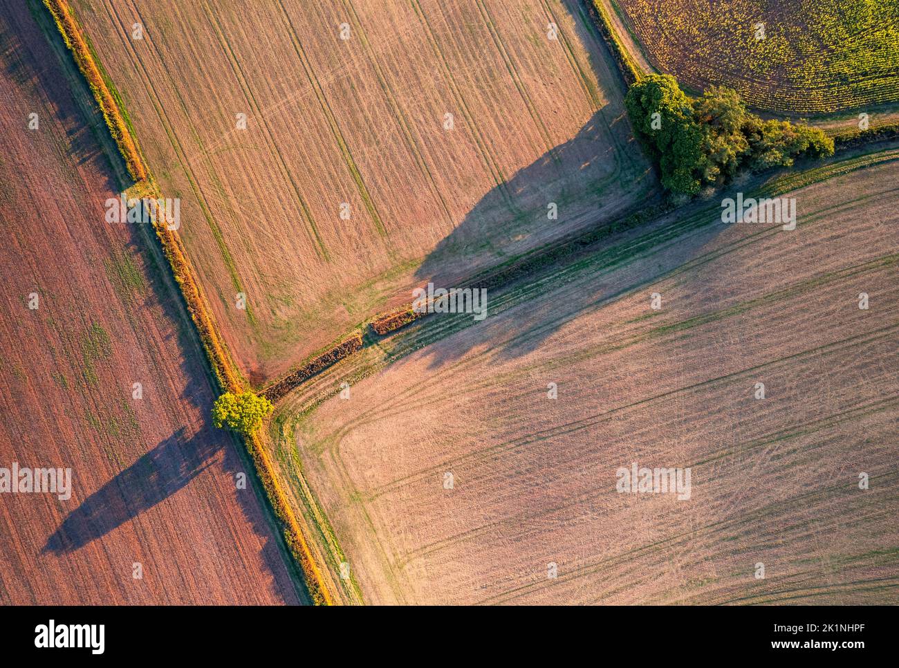 Top Down Fields and farmlands from a drone, Devon, England, Europe ...