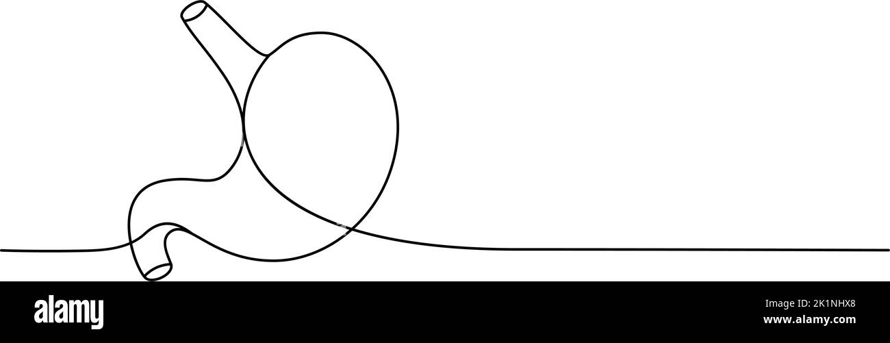 Human stomach one line continuous drawing. Human organ continuous one ...