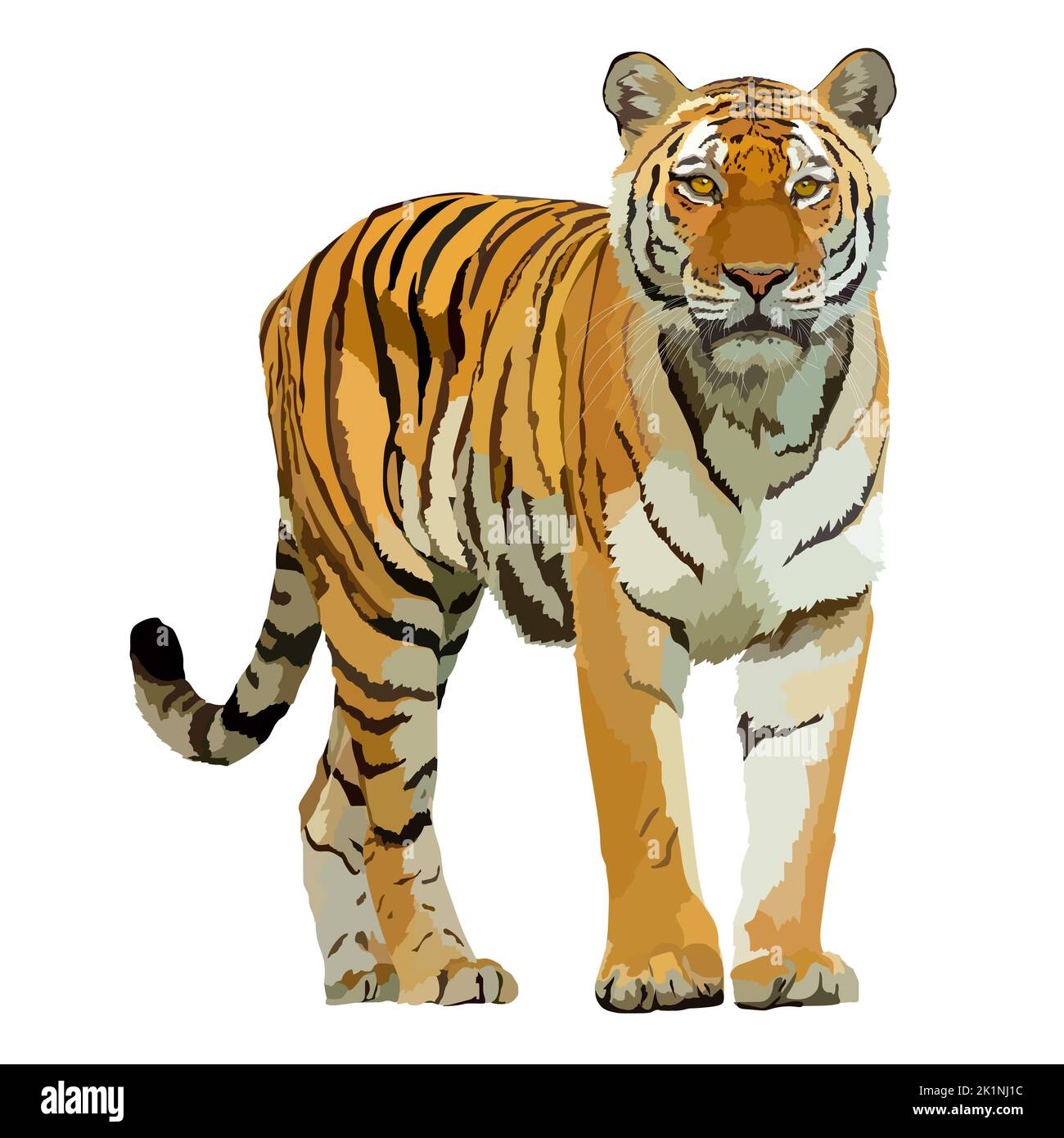 Tiger realistic icon.Vector illustration on a white backround Stock ...