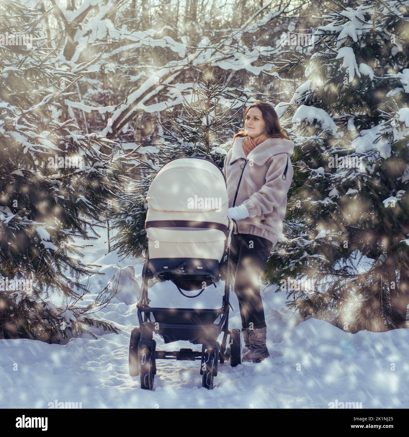 Woman mother with a stroller for a child in a winter park near snow ...