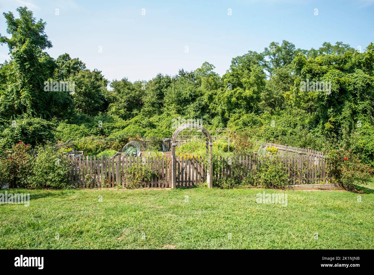 A garden in the field Stock Photo - Alamy