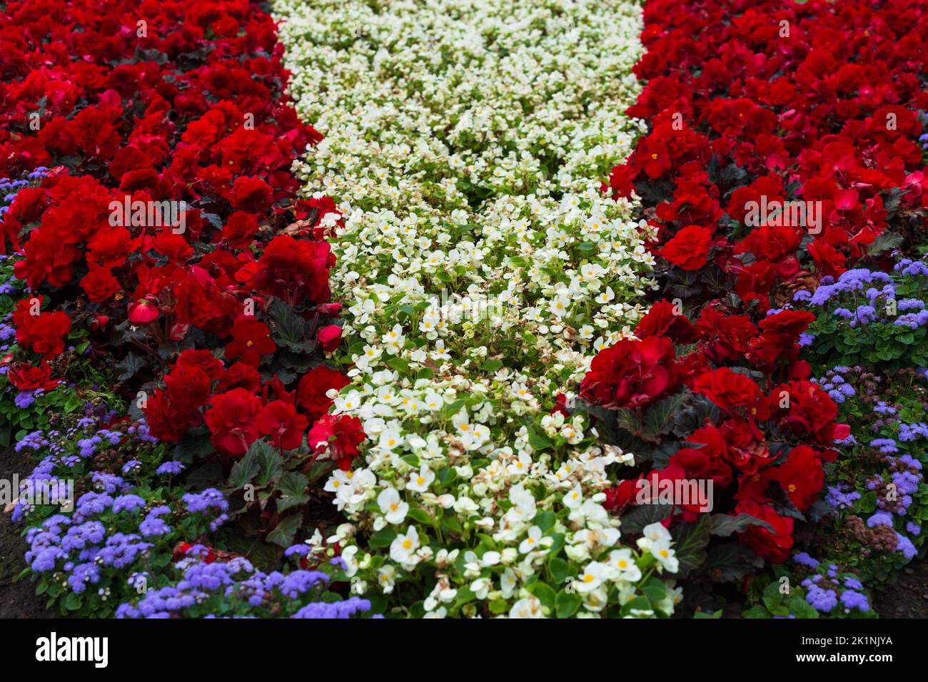 Shrub display hi-res stock photography and images - Alamy
