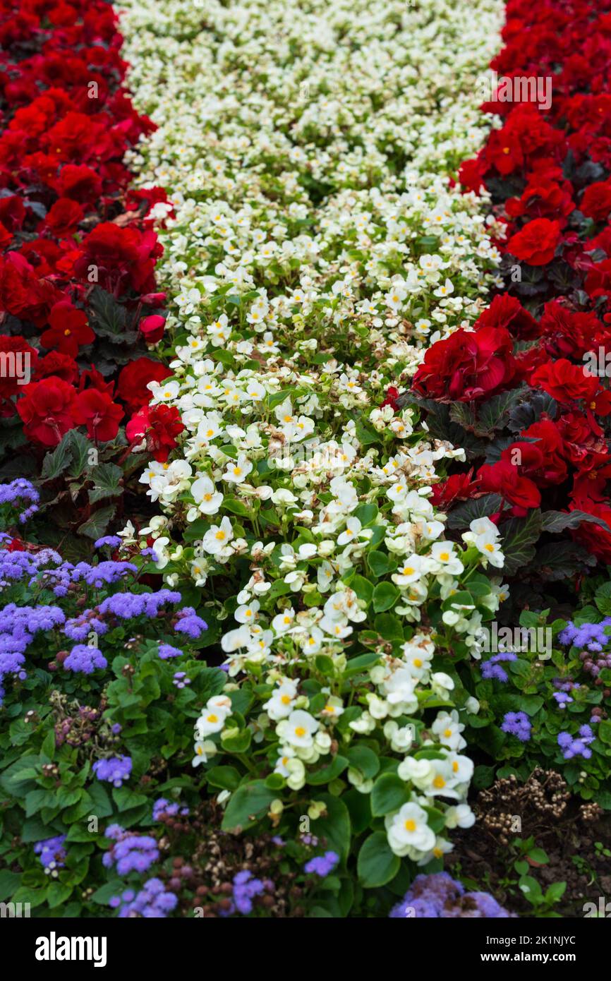 Blossom display hi-res stock photography and images - Alamy