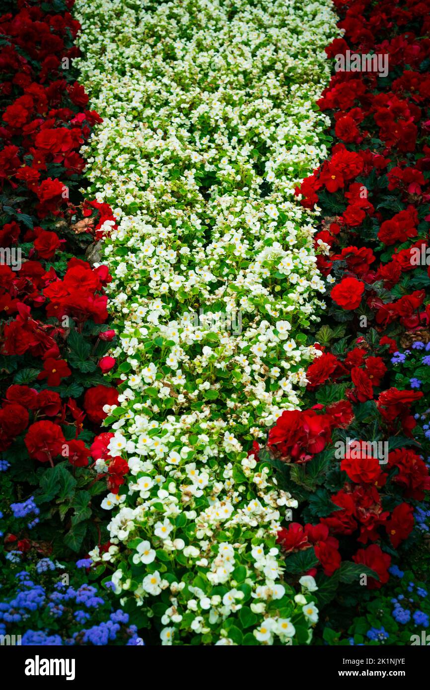 Leafy display hi-res stock photography and images - Alamy