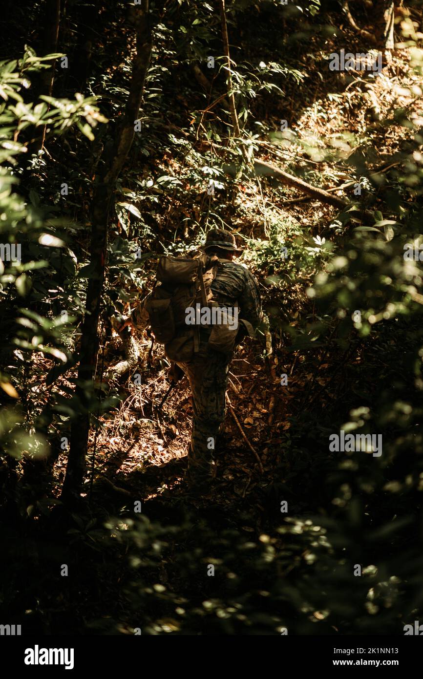 A U.S. Marine assigned to Ground Sensor Platoon, 3rd Intelligence ...