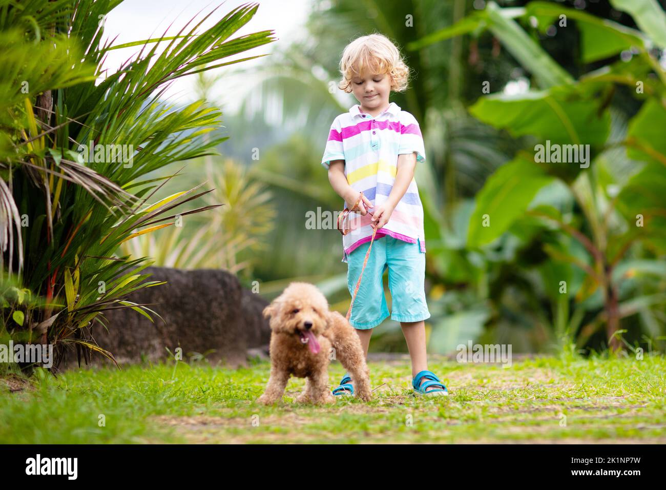 Kids play with cute little puppy. Children and baby dog playing in ...