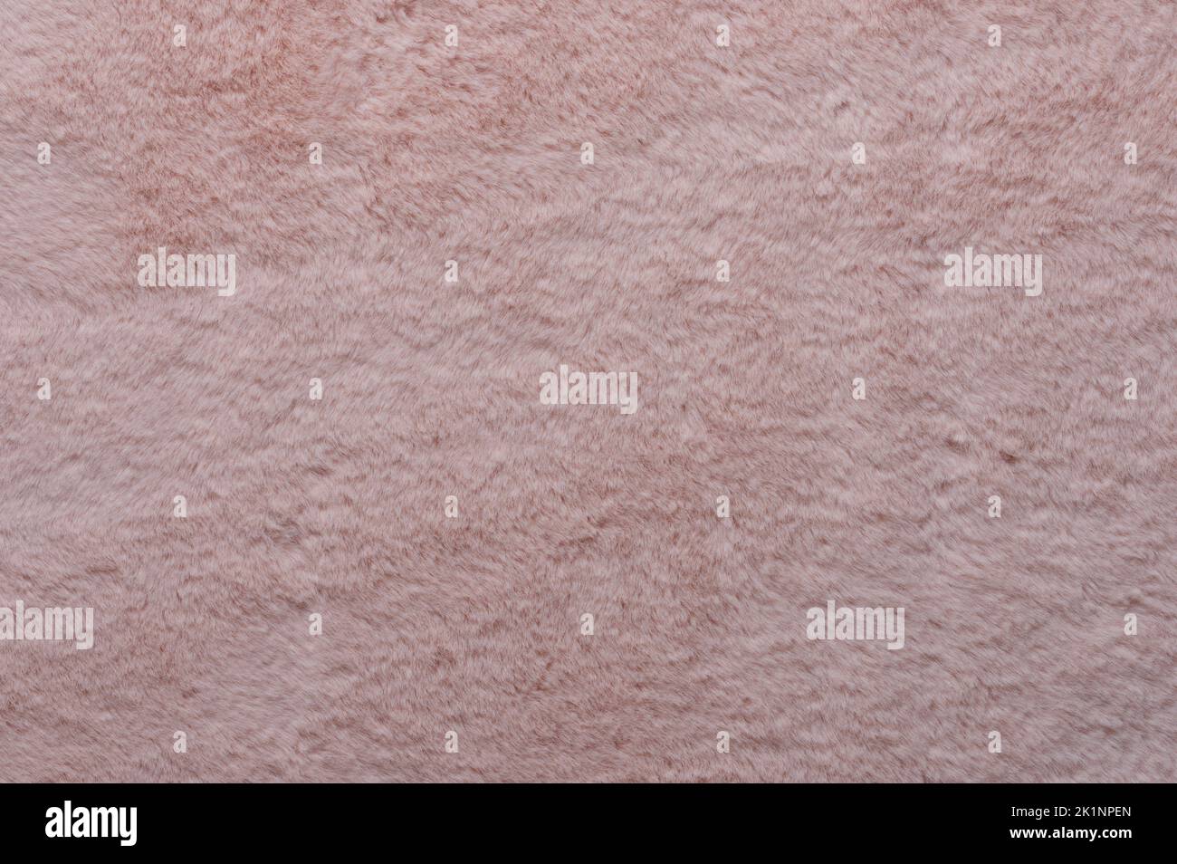 Blank color background hi-res stock photography and images - Alamy