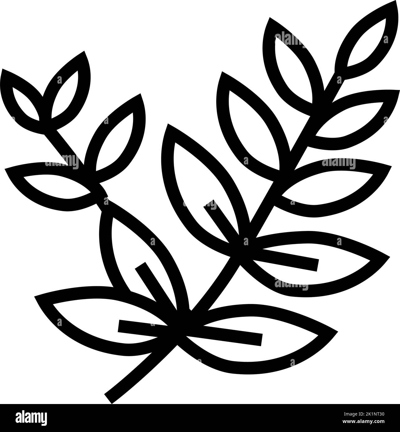 leaf spring line icon vector illustration Stock Vector Image & Art - Alamy