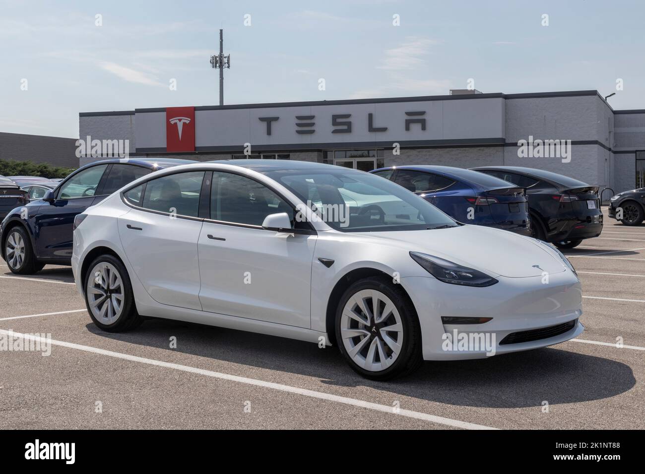 Indianapolis - Circa September 2022: Tesla EV electric vehicles on ...