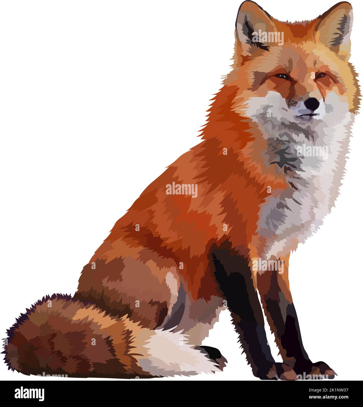 Fox realistic icon vector illustration wild animal Stock Vector Image ...