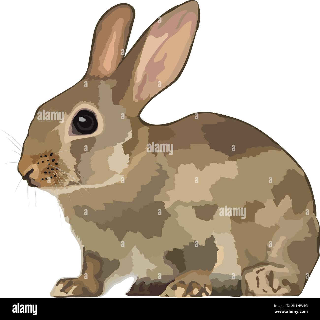 Beautiful rabbit realistic icon vector wild animal Stock Vector Image ...