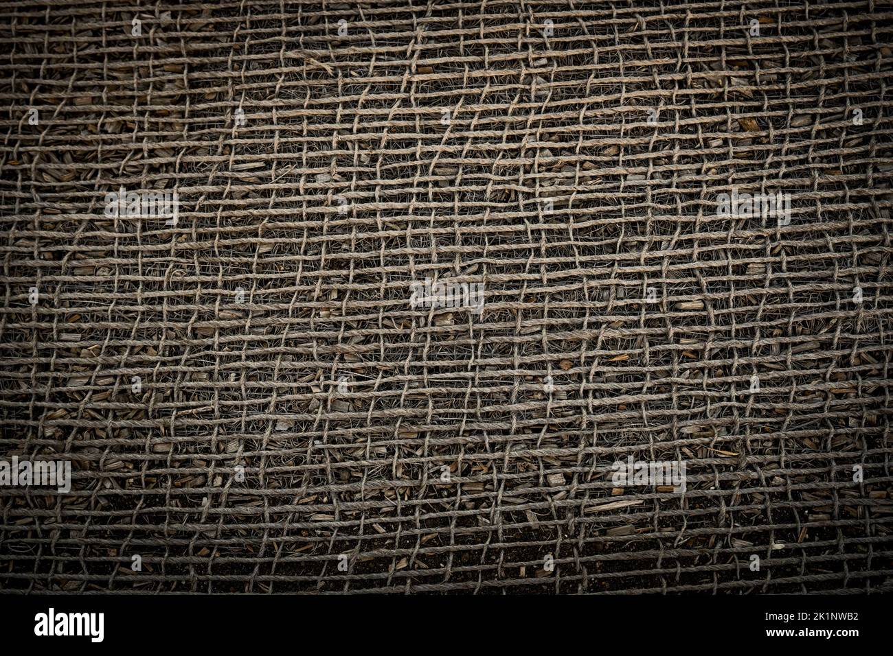 Burlap Ground Covering Texture protecting seeds that were recently ...