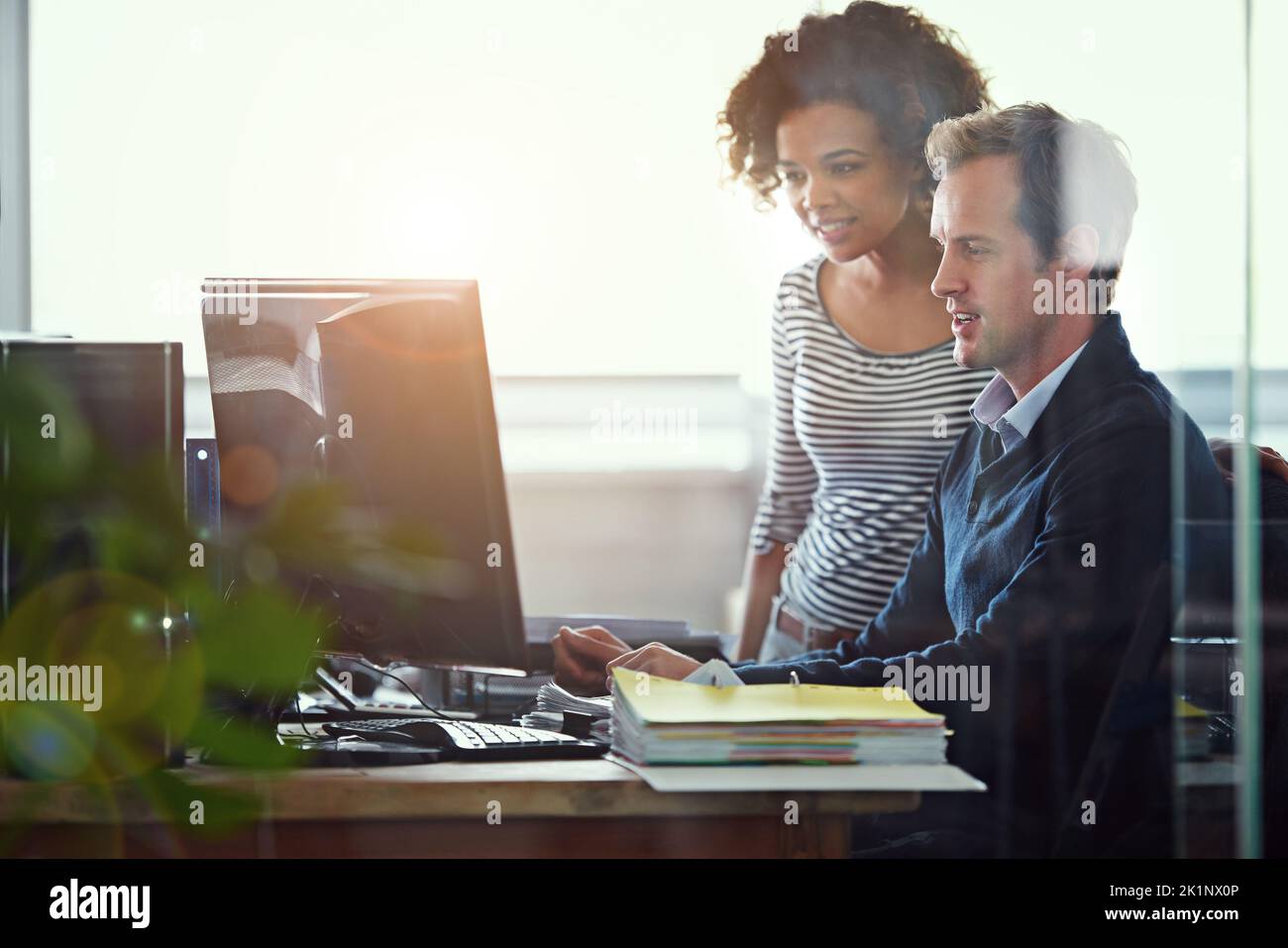 Getting her opinion. two colleagues working together in the office ...