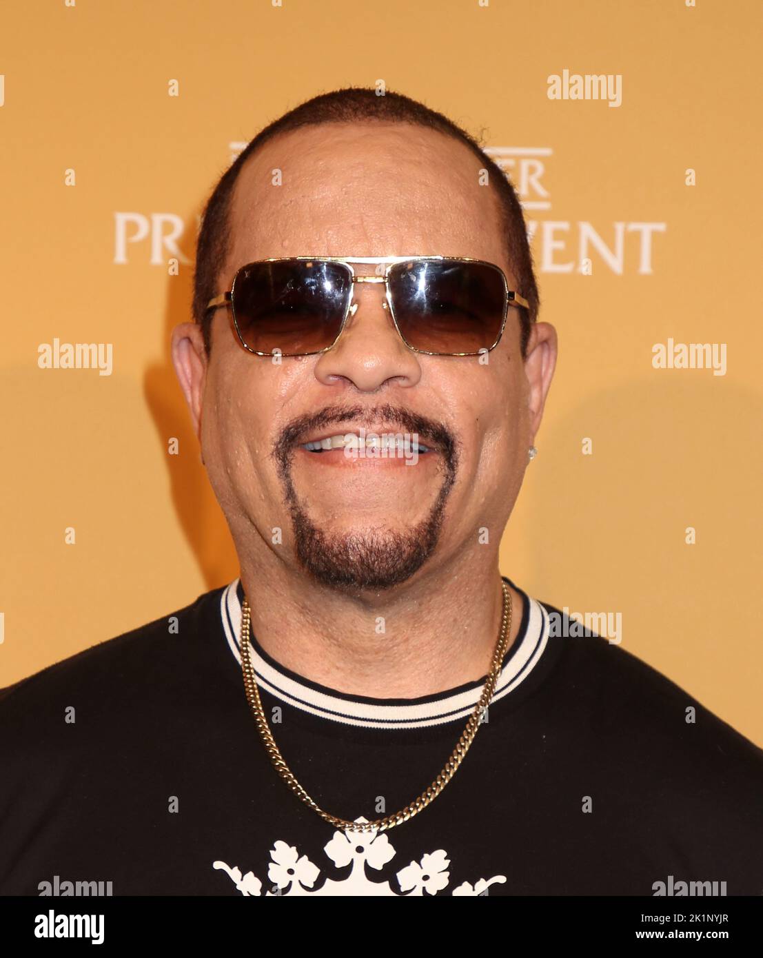 New York City, USA. 19th Sep, 2022. Ice-T attending the 'Law & Order ...
