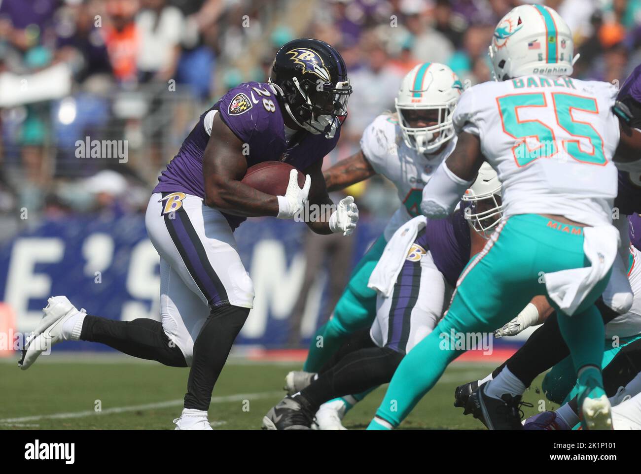 2022 271 jpg hi-res stock photography and images - Alamy