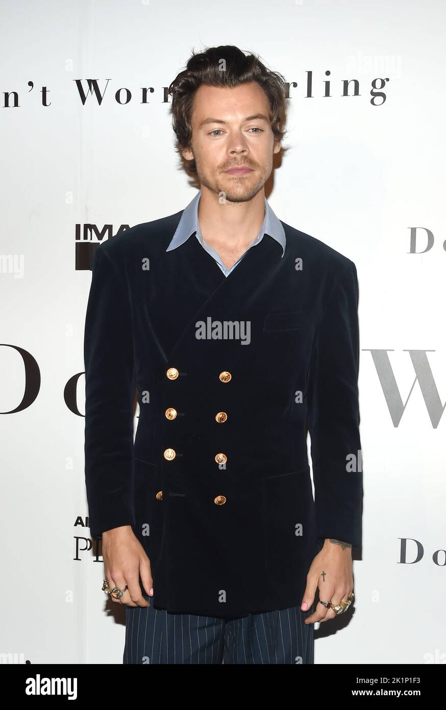 New York, NY, USA. 19th Sep, 2022. Harry Styles at the NY premiere of ...