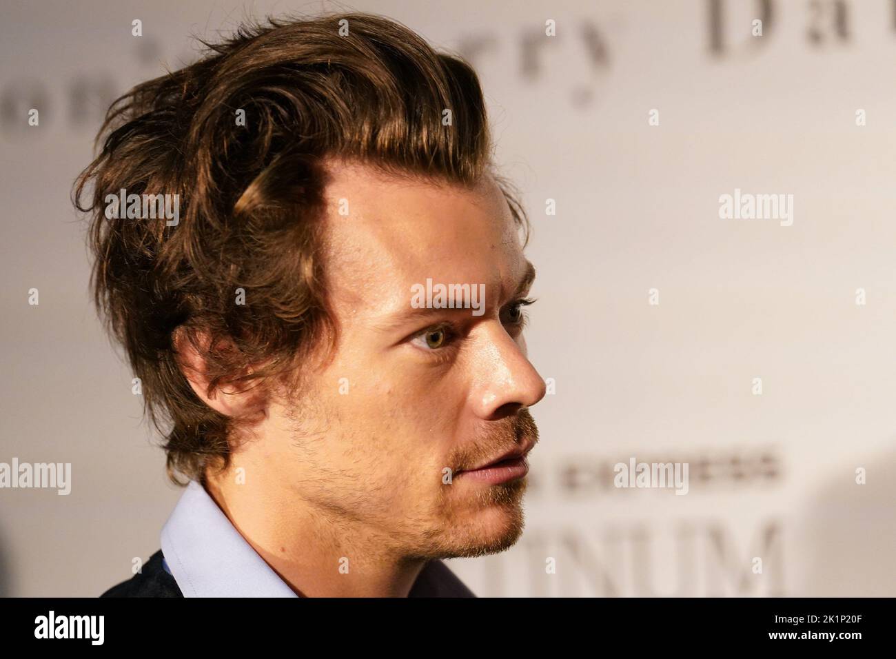 Harry Styles Side View 2022