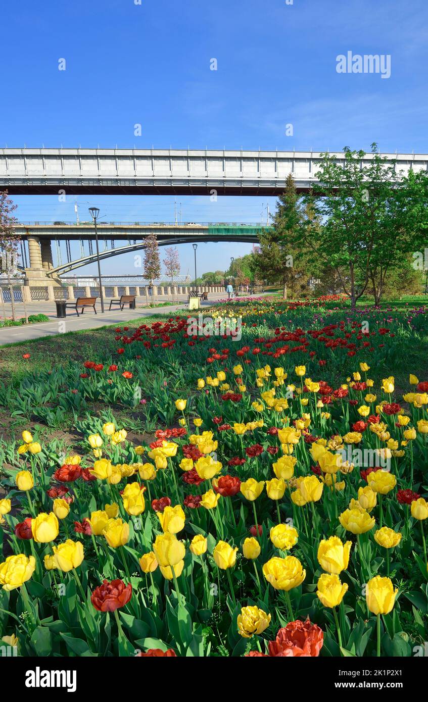 Novosibirsk, Siberia, Russia, 05.18.2022. Mikhailovskaya embankment of ...