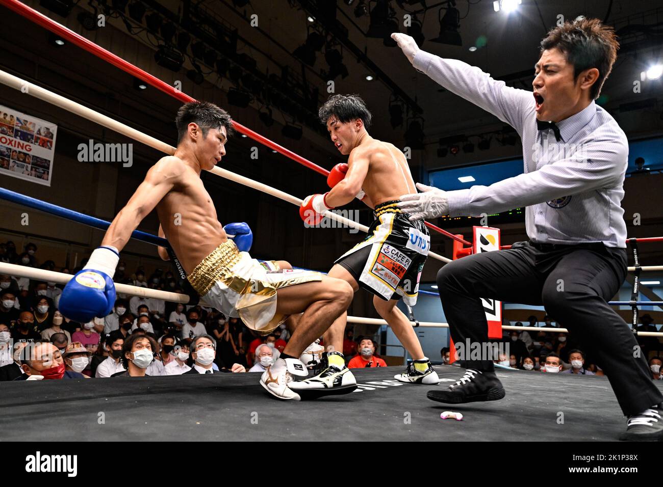 Tokyo, Japan. 13th Sep, 2022. Referee Nobuhiro Matsubara stops the fight after Keisuke Matsumoto ...