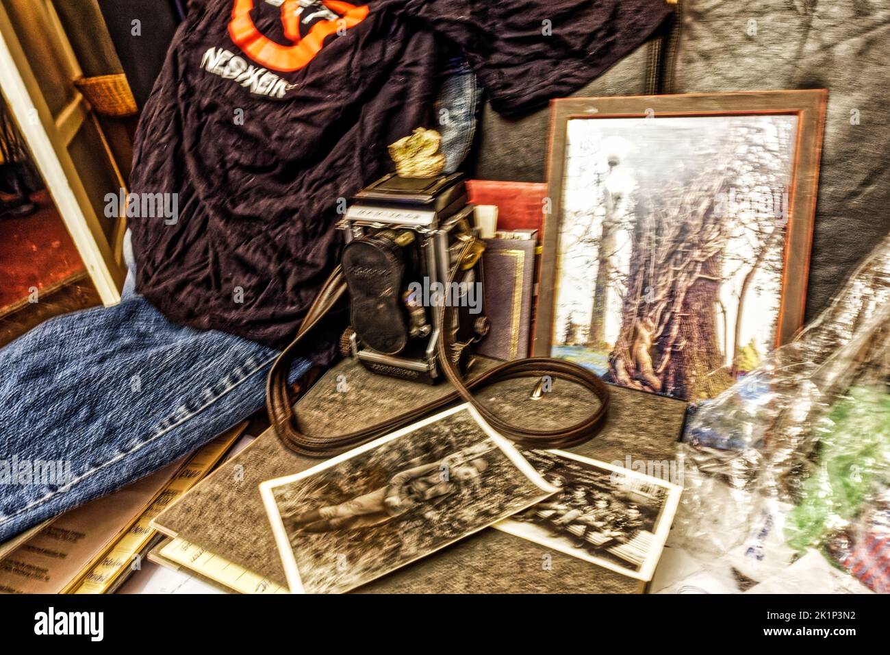 Maler dzidas zilinskas hi-res stock photography and images - Alamy