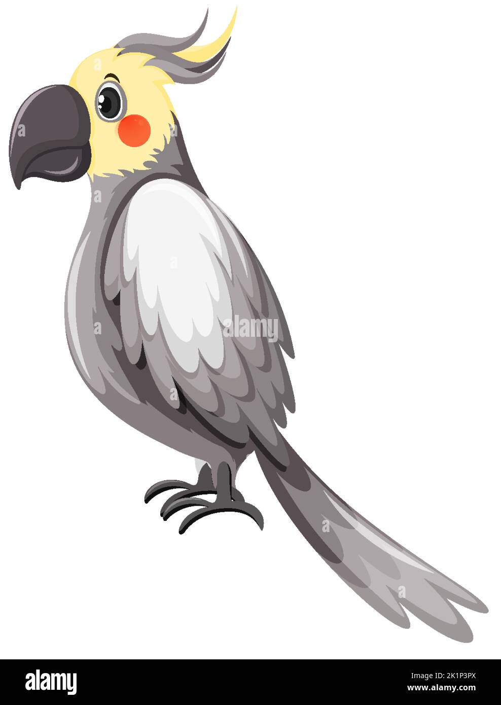 Cockatiel bird in cartoon style illustration Stock Vector Image & Art ...