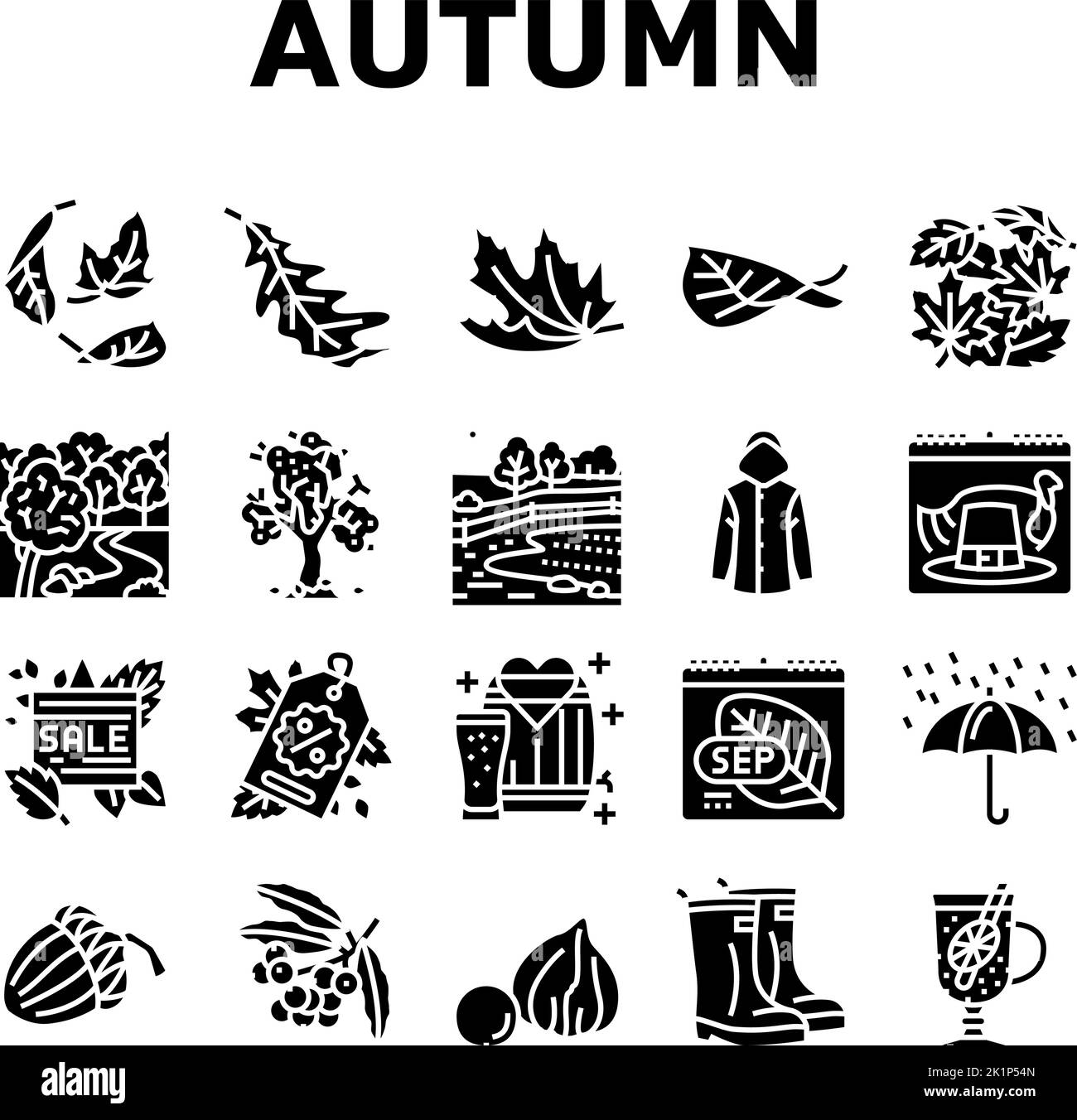 autumn fall leaf nature season icons set vector Stock Vector Image ...