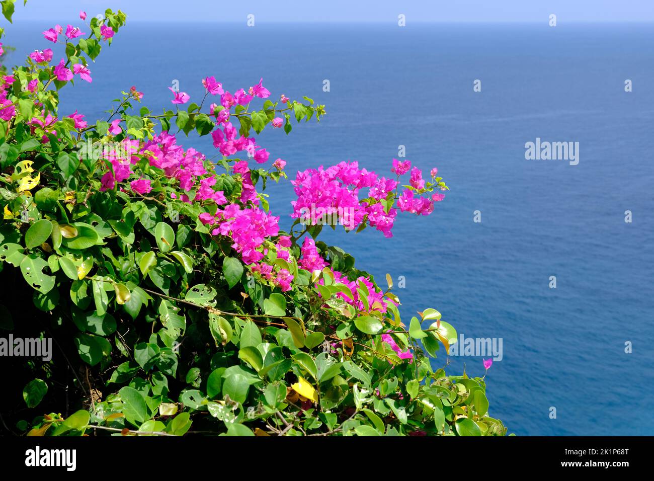 Indonesia Bali - Uluwatu Temple - Pura Luhur Uluwatu - Bougainvillea ...