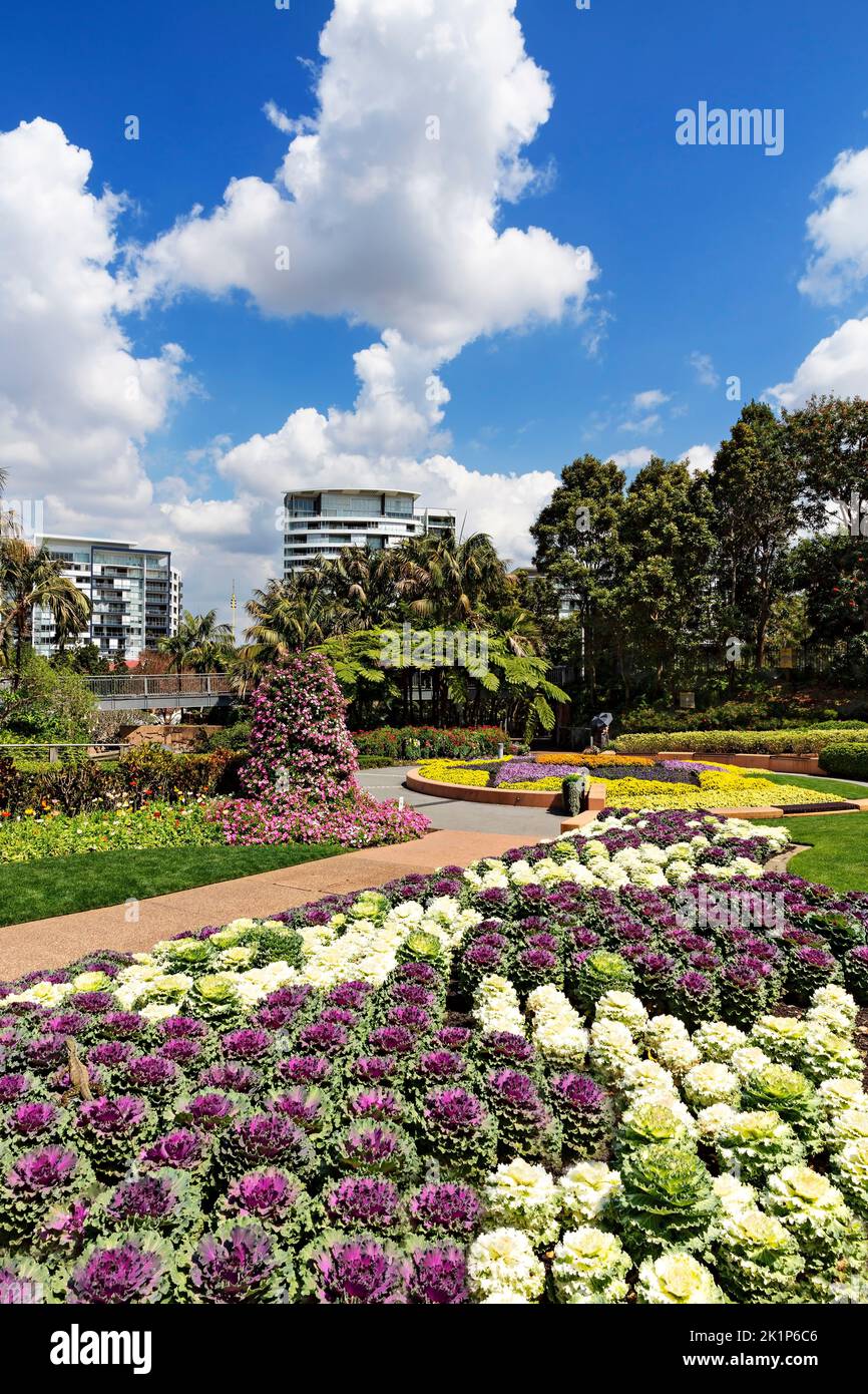 Brisbane Australia / The beautiful Roma Street Gardens in Spring Hill ...