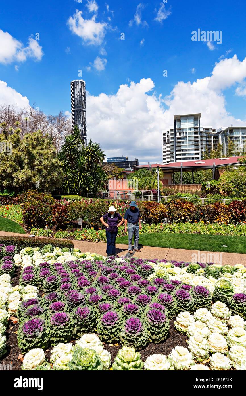 Brisbane Australia / The beautiful Roma Street Gardens in Spring Hill ...