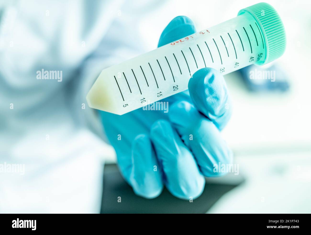 PRODUCTION - 09 September 2022, Schleswig-Holstein, Lübeck: Sebastian ...