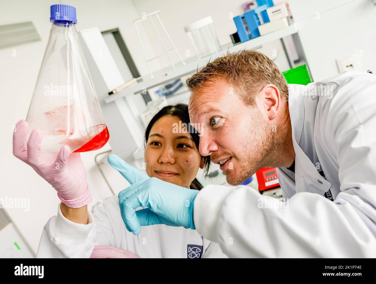 PRODUCTION - 09 September 2022, Schleswig-Holstein, Lübeck: Sebastian ...