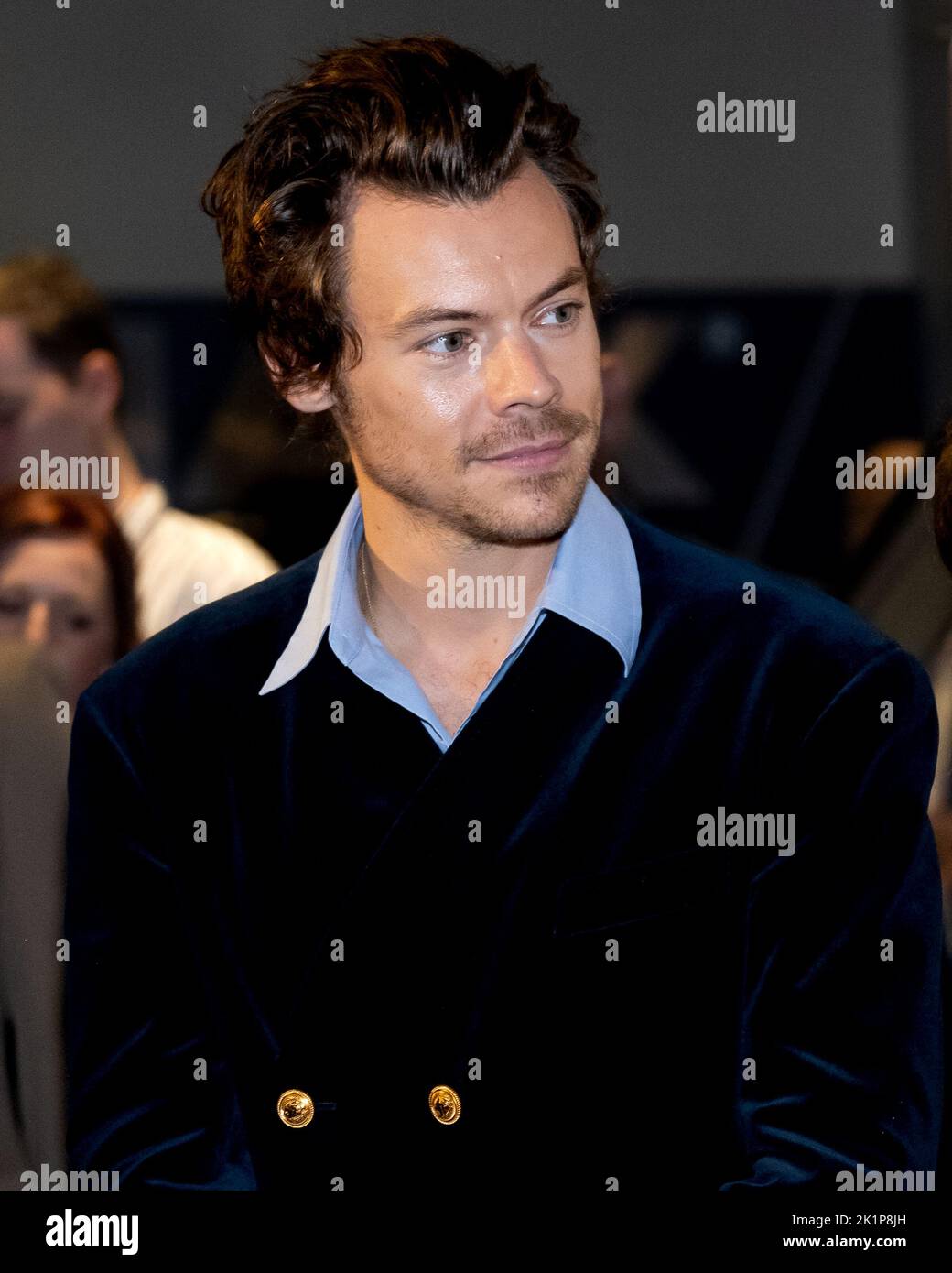 Harry Styles arrives at the special red carpet screening of “Don’t ...
