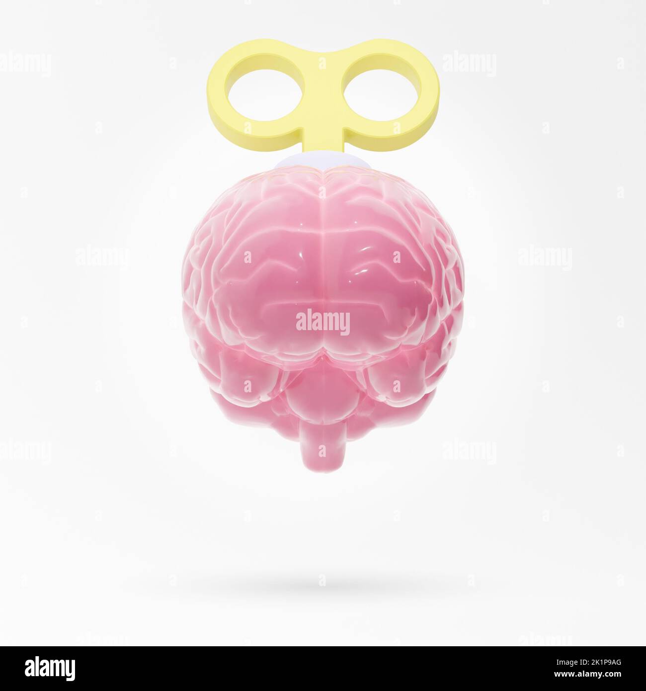 3D Rendering of a Toy Brain with a Winding Mechanism Stock Photo - Alamy