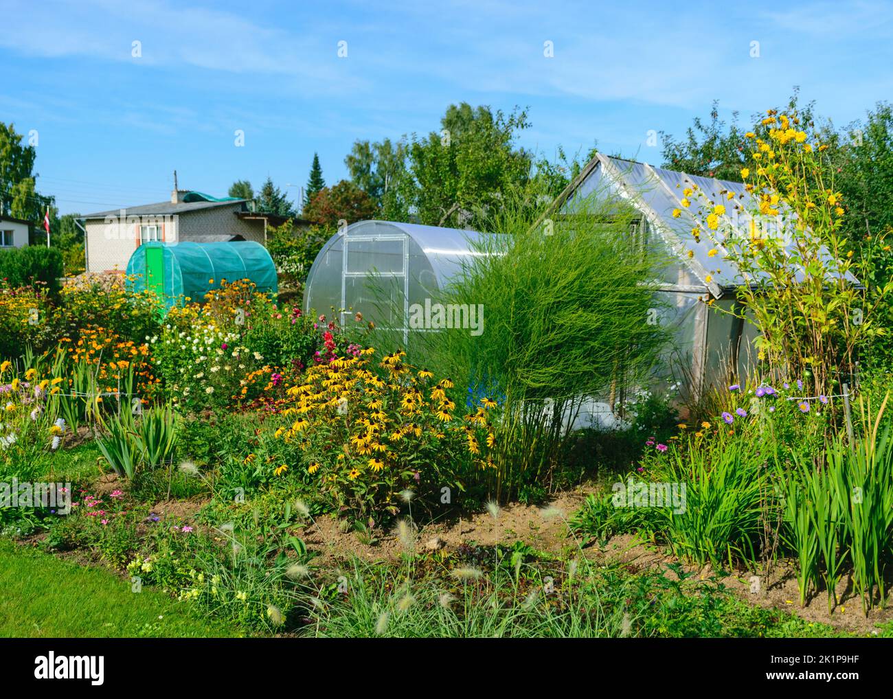 colorful flowers included film greenhouses in autumn, gardener's ...